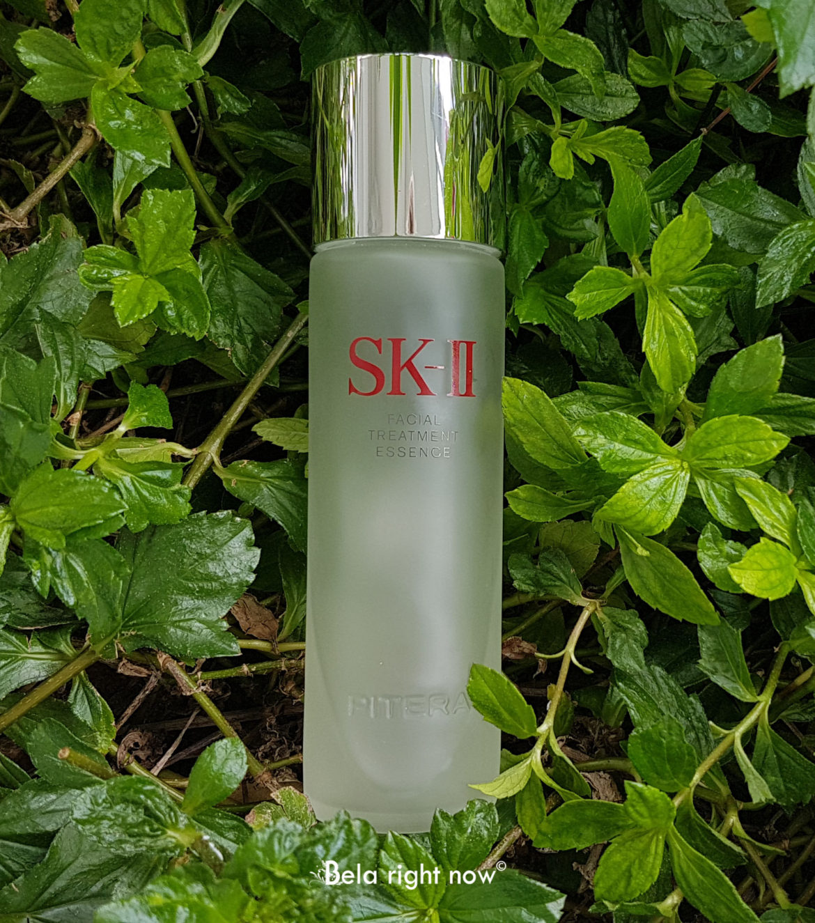SK-II PITERA FACIAL TREATMENT ESSENCE | Bela Right Now